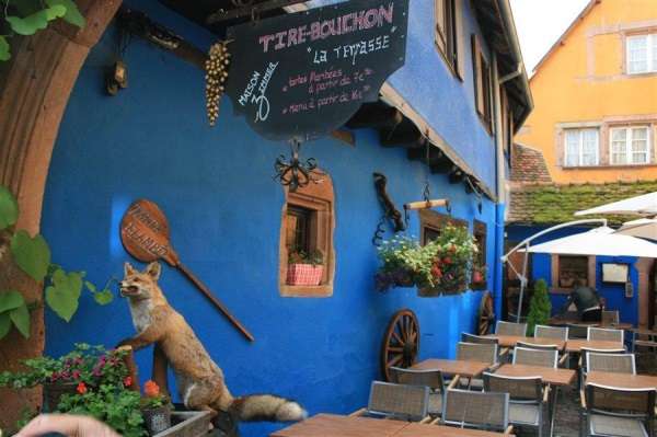 Interview de Lutin64, nouveau membre Diamant